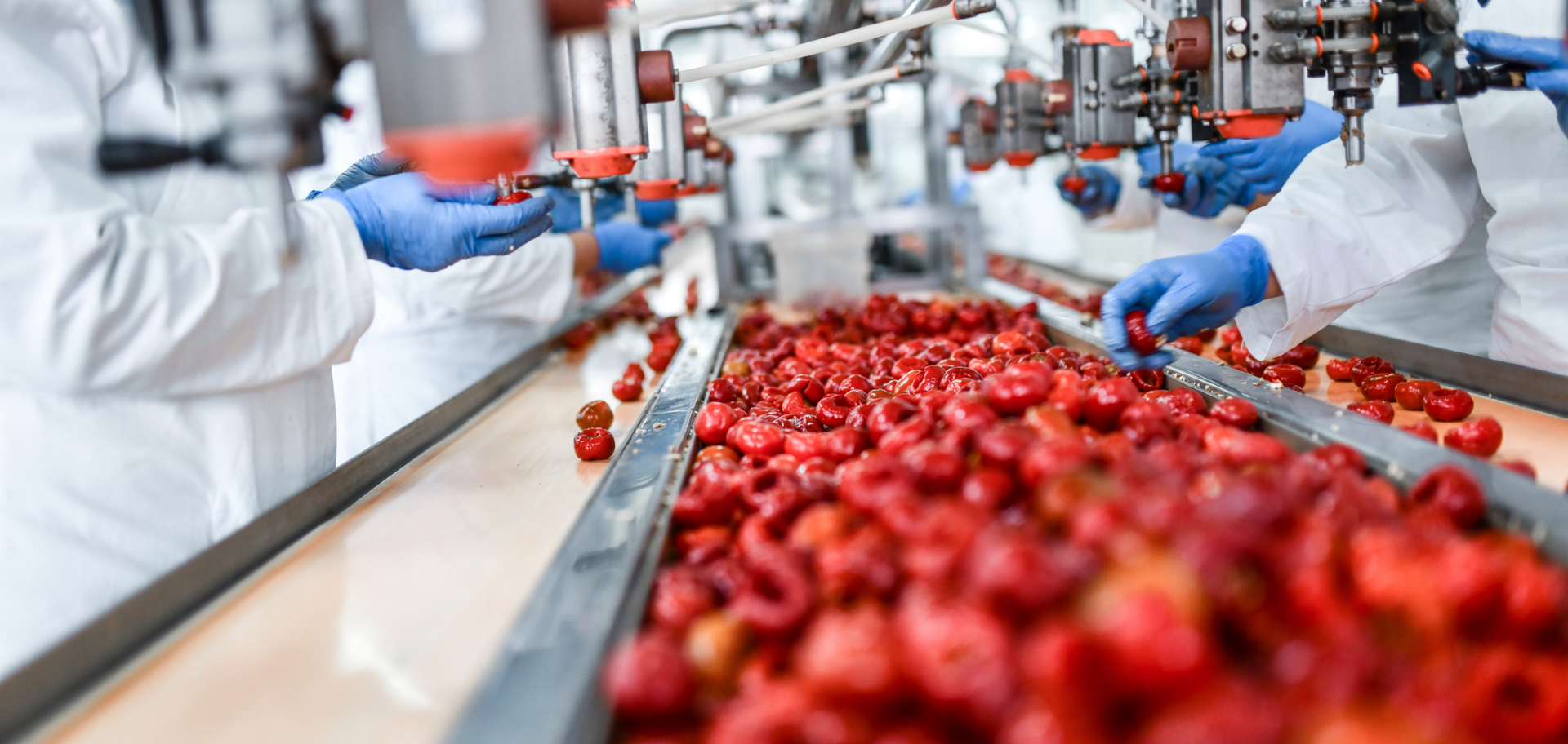 Food Manufacturing Recruiters | Freedom Search